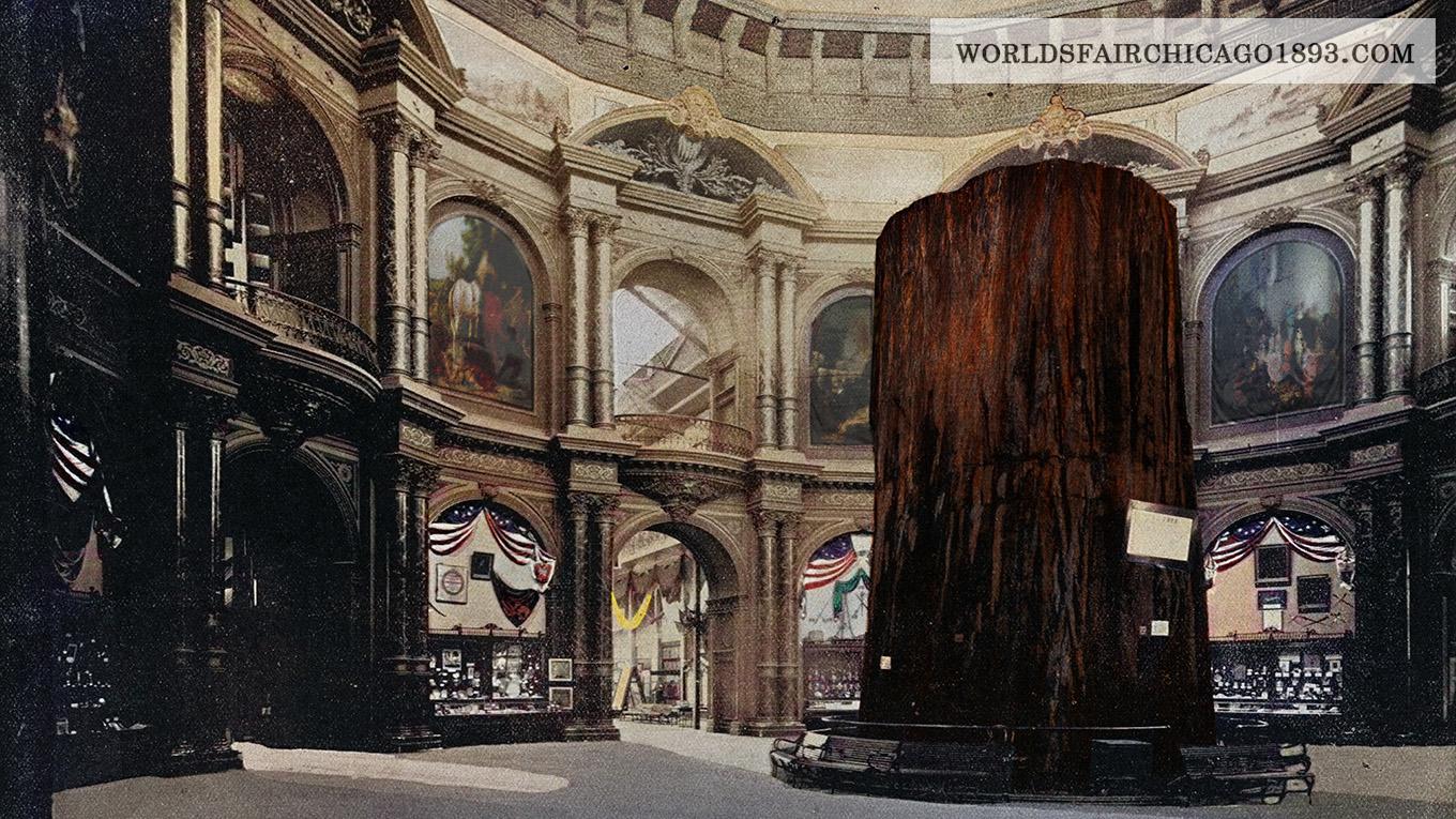 Giants, Leviathans, and Monstrosities of the 1893 World’s Fair ...